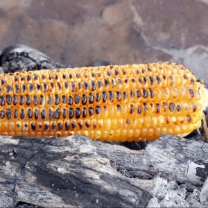 How to Never Make Overcooked Corn Again - ZergNet