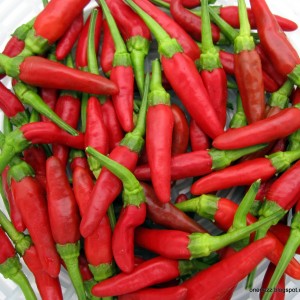 8 of the Spiciest Foods on the Planet - ZergNet