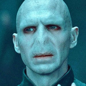 Voldemort Almost Had A Really Weird Death In 'Harry Potter' - ZergNet