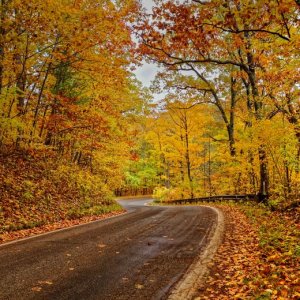 America's Most Scenic Fall Drives - ZergNet