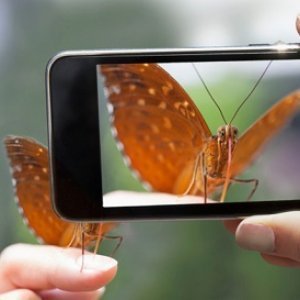 Amazing Things You Didn't Know Your Smartphone's Camera Can Do - ZergNet