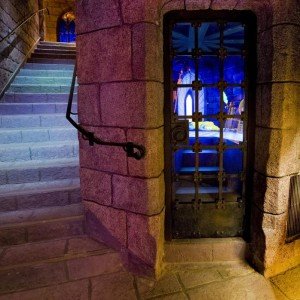 What’s Really Inside the Castle at Disneyland? - ZergNet
