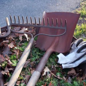 Outdoor Home Maintenance Tasks to Complete This Year - ZergNet