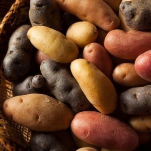 The Differences Between Every Kind of Potato - ZergNet