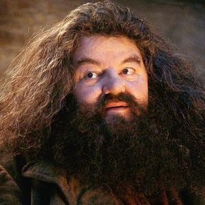J.K. Rowling Reveals The Sad Truth About Hagrid - ZergNet