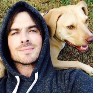 18 Celebrities Whose Pets Have Become Incredibly Famous - ZergNet