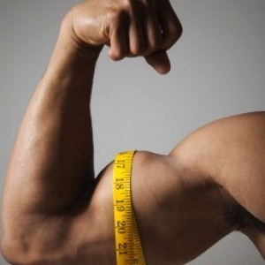 The Average Size of Biceps - ZergNet