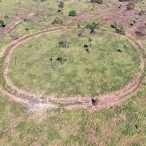 Another Advanced Species May Have Existed on Earth Before Humans - ZergNet