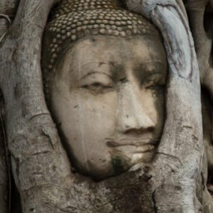 The Weirdest Places Man-Made Objects Have Turned Up - ZergNet