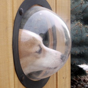 13 Genius Inventions Made To Help Animals - ZergNet