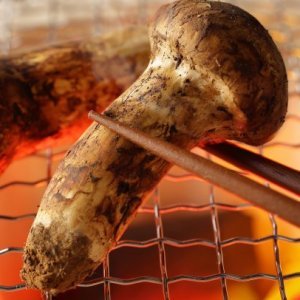 These Are the Most Valuable Foods on the Planet - ZergNet