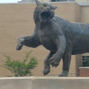 The Legend of the Wampus Cat Explained - ZergNet