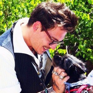 Johnny Depp's Dogs Face Death After Being Smuggled to Australia - ZergNet