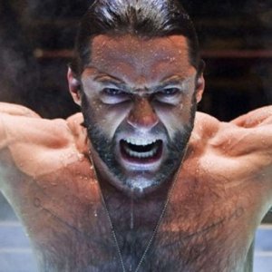 The Untold Truth Of Wolverine - ZergNet