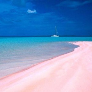 10 Most Wonderful Pink Beaches In The World - ZergNet