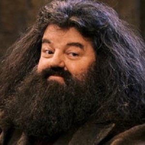J.K. Rowling Reveals The Sad Truth About Hagrid - ZergNet