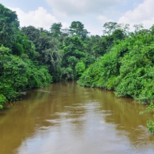 The Odd Thing About the World's Deepest River - ZergNet