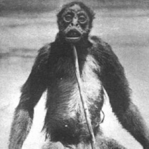 Mysterious Photographs And The Strange Stories Behind Them - ZergNet