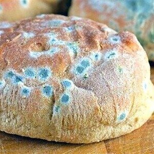 The Scary Truth About Eating Moldy, Old Food - ZergNet